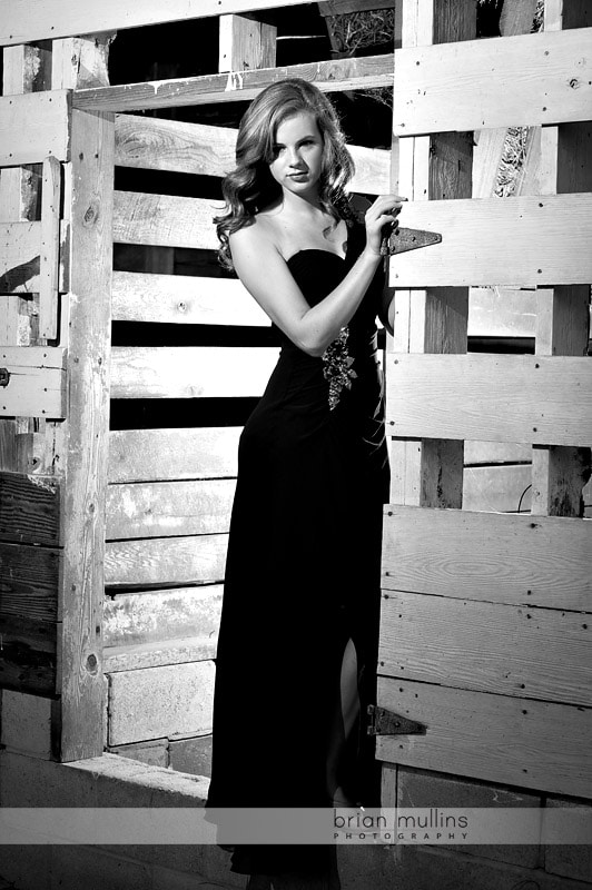 Emily | Barns & Fields » Brian Mullins Photography